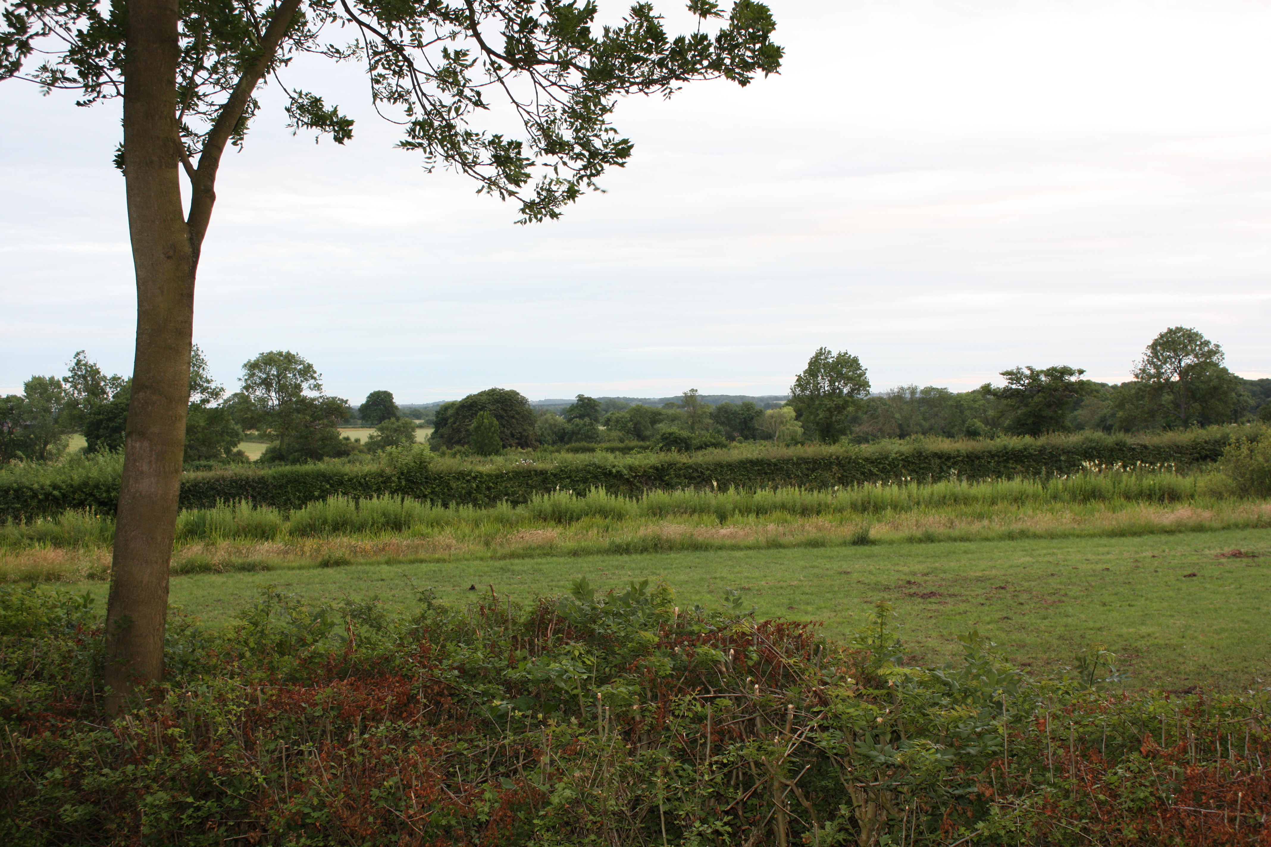 The Battle of Bosworth Field – Richard III Society of Canada